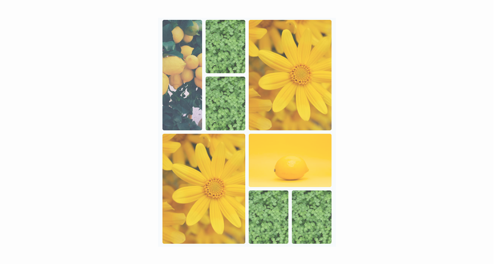 Image Gallery With Grid Tailwind Component