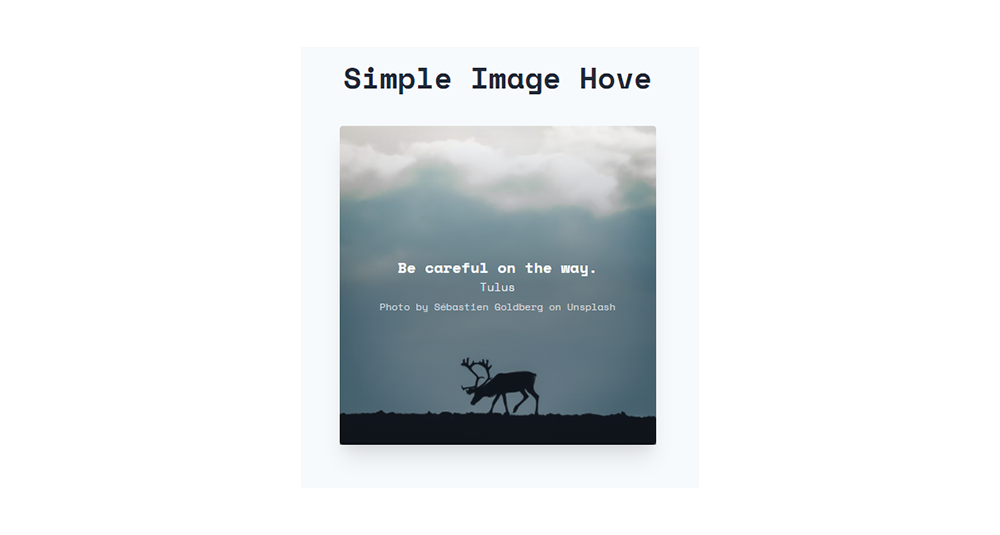 image-hover-effects-tailwind-component